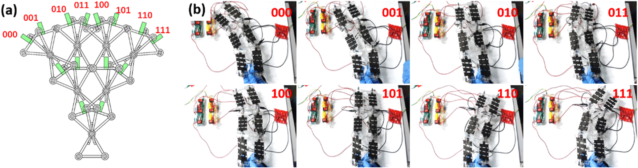 Bistable rotating mechanism based on dielectric elastomer actuator ...