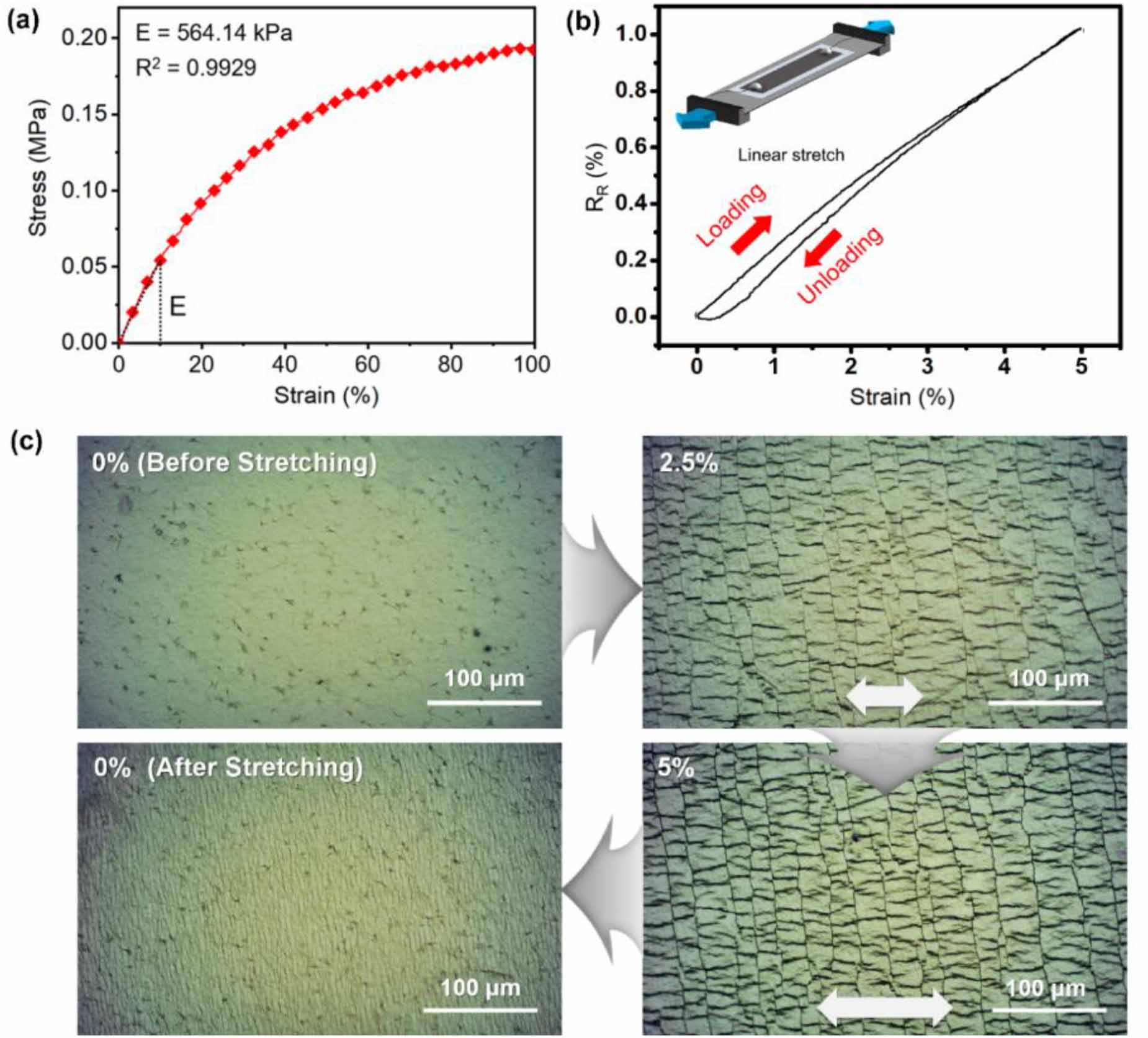 Effects of bending strain and crack direction on crack-based strain ...