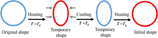 A highly-compressible, torsion-contraction coupling and self ...