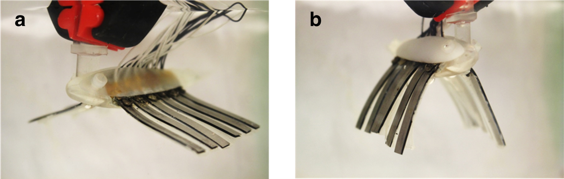 Basic design of a biomimetic underwater soft robot with switchable ...
