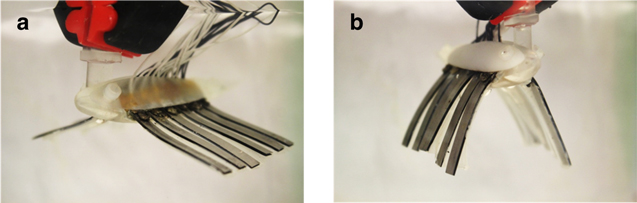 Basic design of a biomimetic underwater soft robot with switchable ...