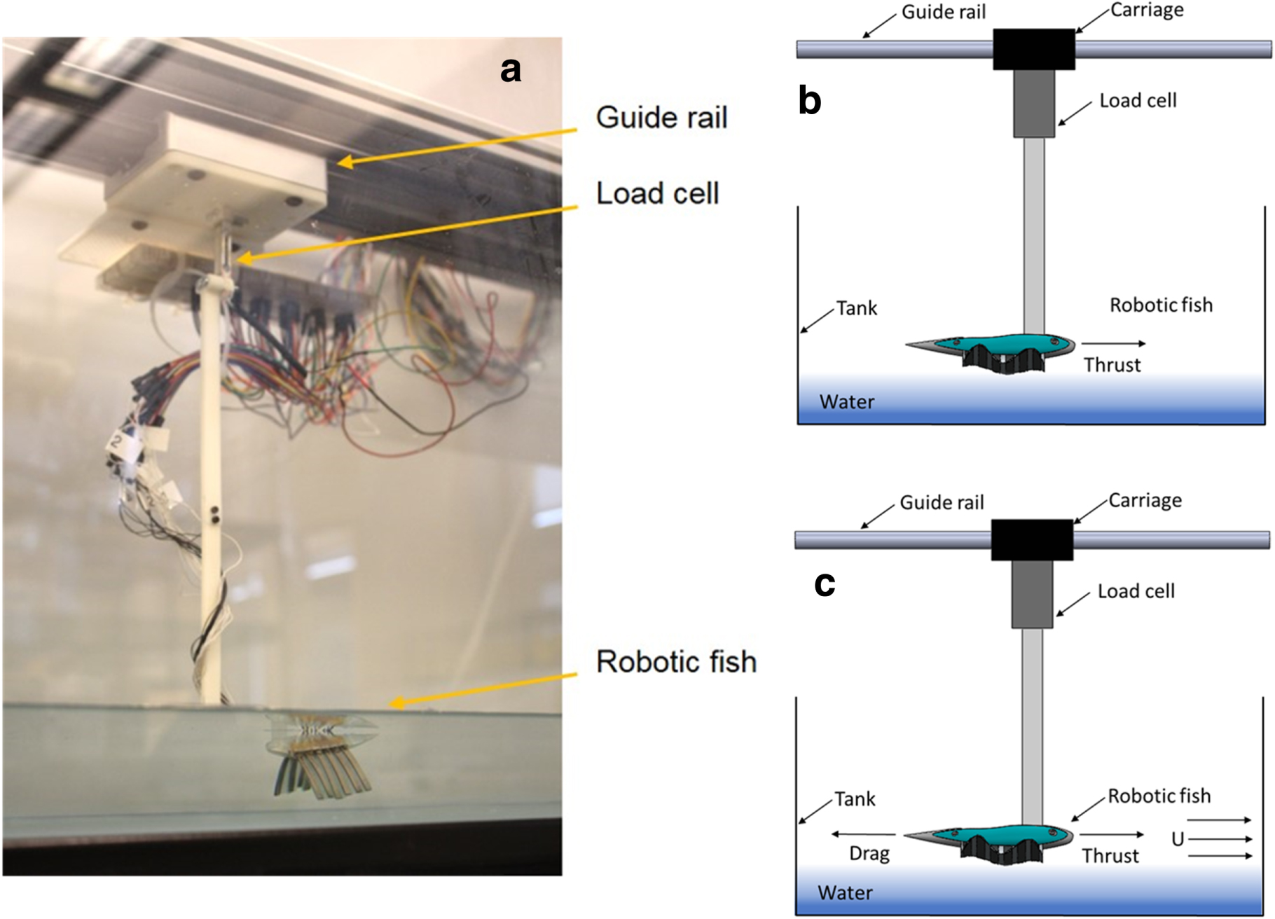 Basic design of a biomimetic underwater soft robot with switchable ...