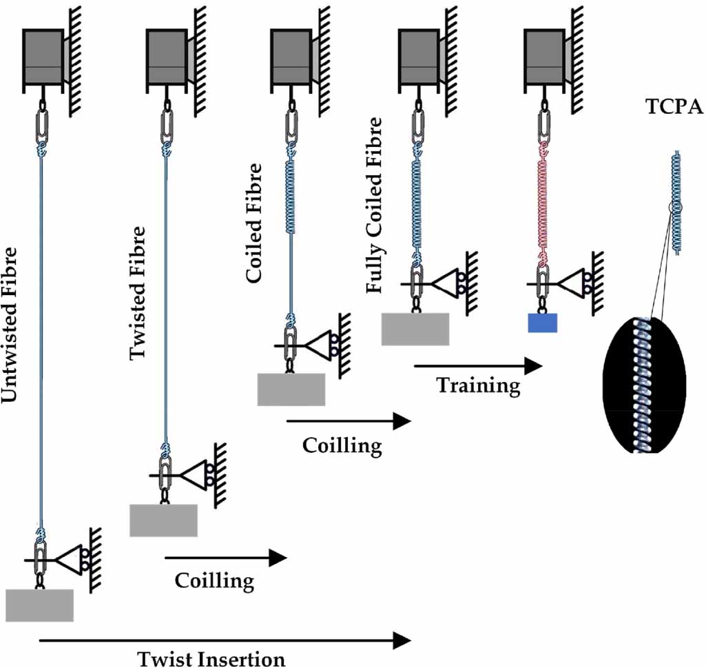 Research on the mechanism of variable stiffness of the twisted and ...