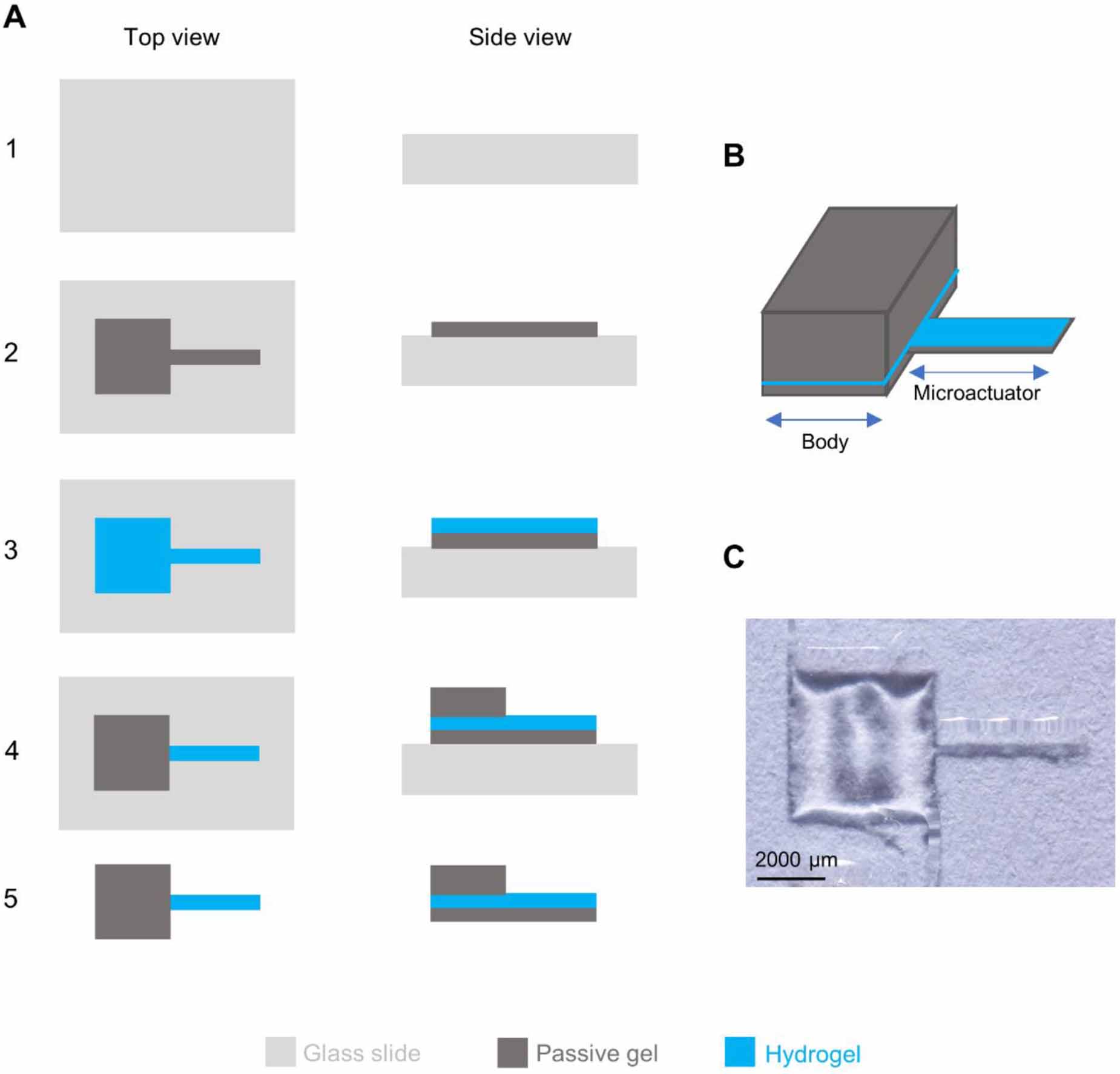 Fully 3D printed soft microactuators for soft microrobotics - IOPscience