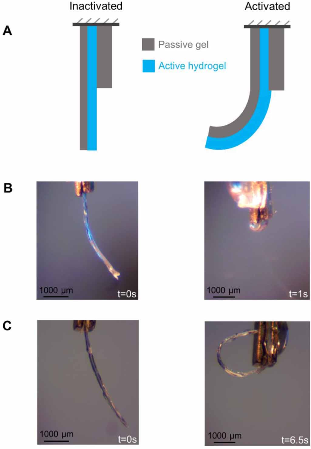Fully 3D printed soft microactuators for soft microrobotics - IOPscience