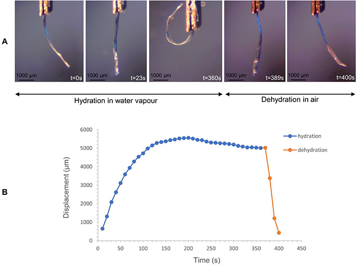 Fully 3D printed soft microactuators for soft microrobotics - IOPscience