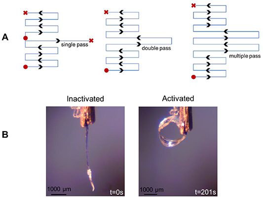 Fully 3D printed soft microactuators for soft microrobotics - IOPscience