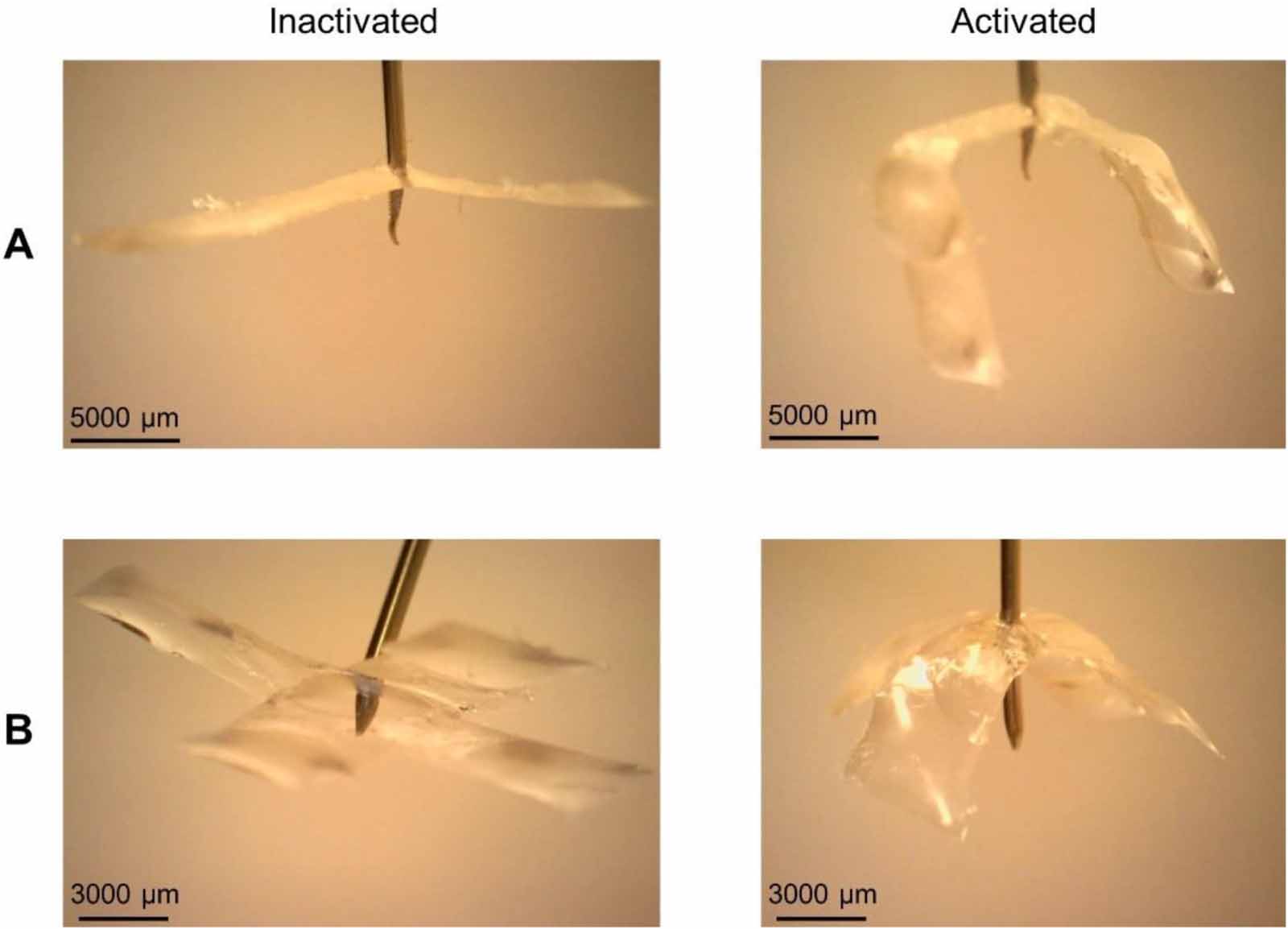Fully 3D printed soft microactuators for soft microrobotics - IOPscience