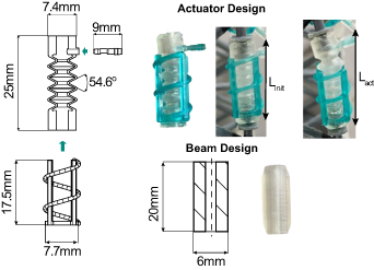 Actuator placement optimization in an active lattice structure using generalized pattern search ...