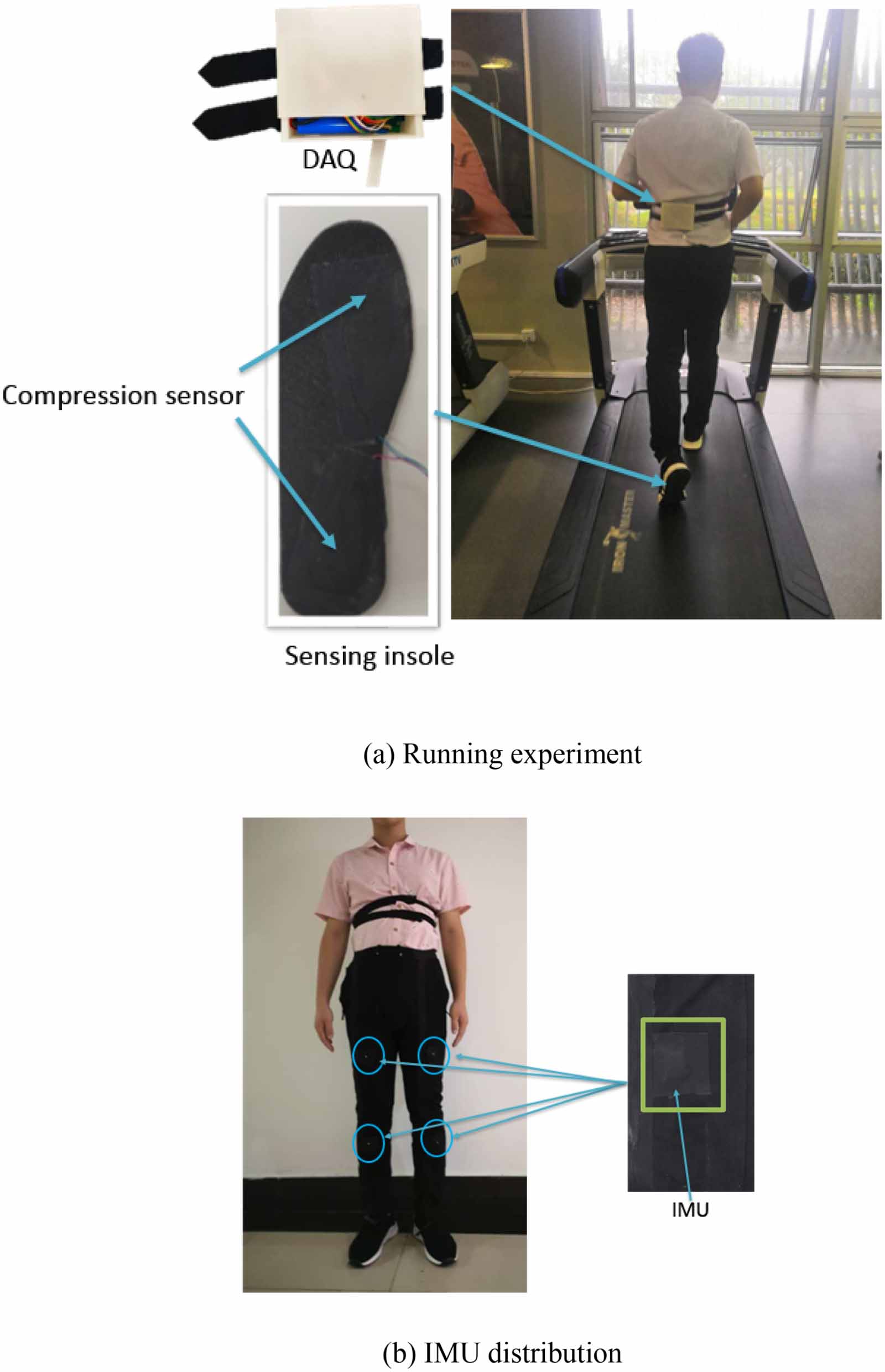 Smart wearable monitoring system based on multi-type sensors for motion ...