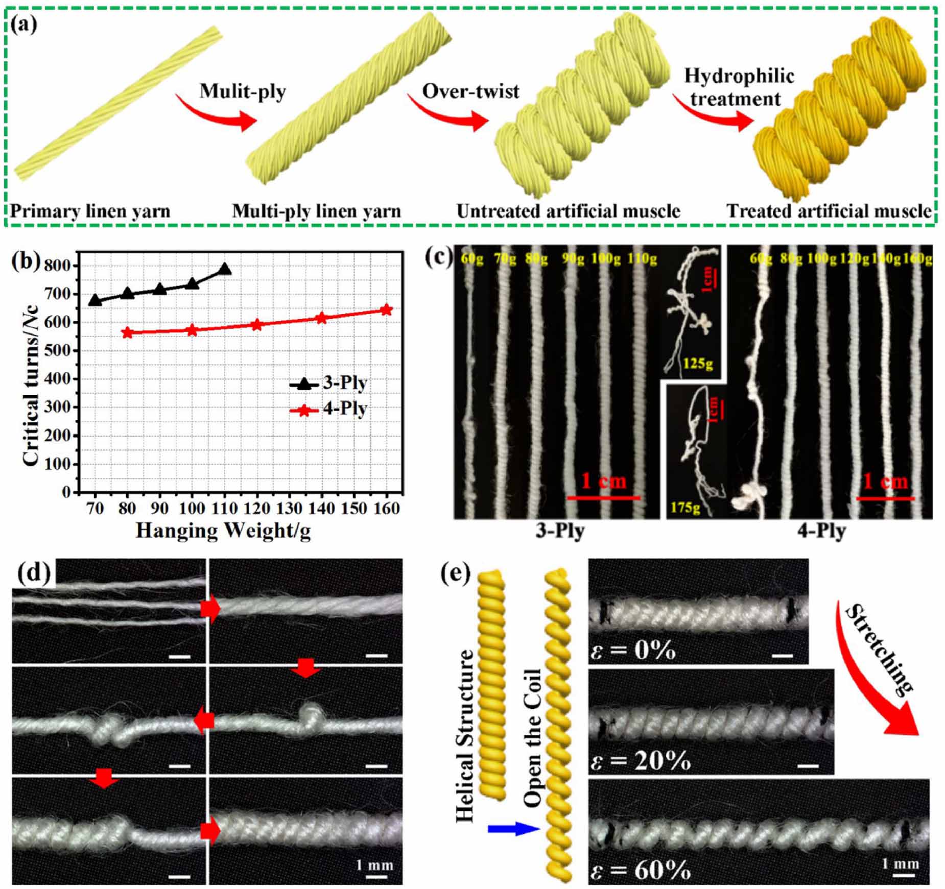 Helical shape linen artificial muscles responsive to water - IOPscience