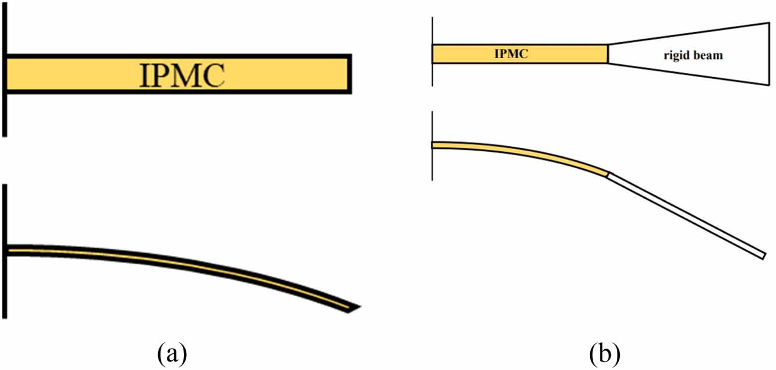 Dynamic modeling of a fish tail actuated by IPMC actuator based on the ...