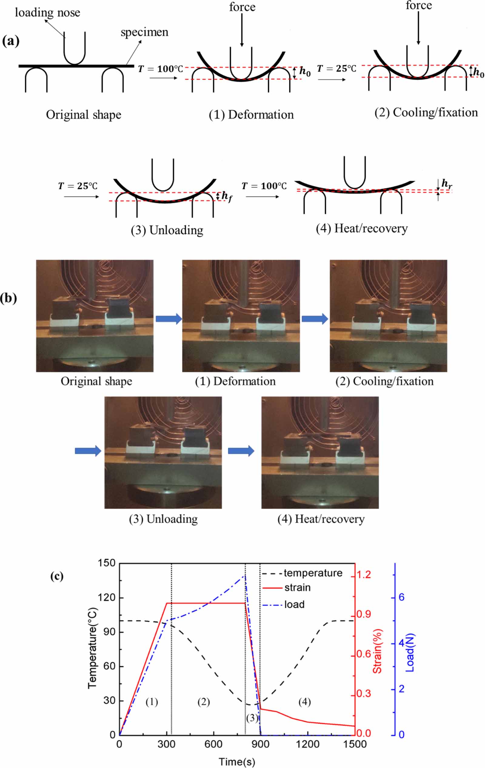 Flexural and shape memory properties of unidirectional glass and carbon ...