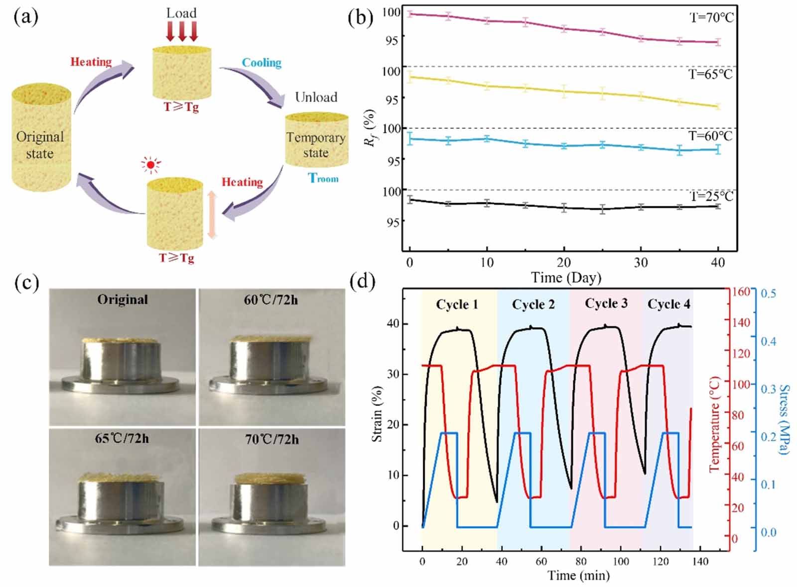 Shape memory polymer foam: active deformation, simulation and ...