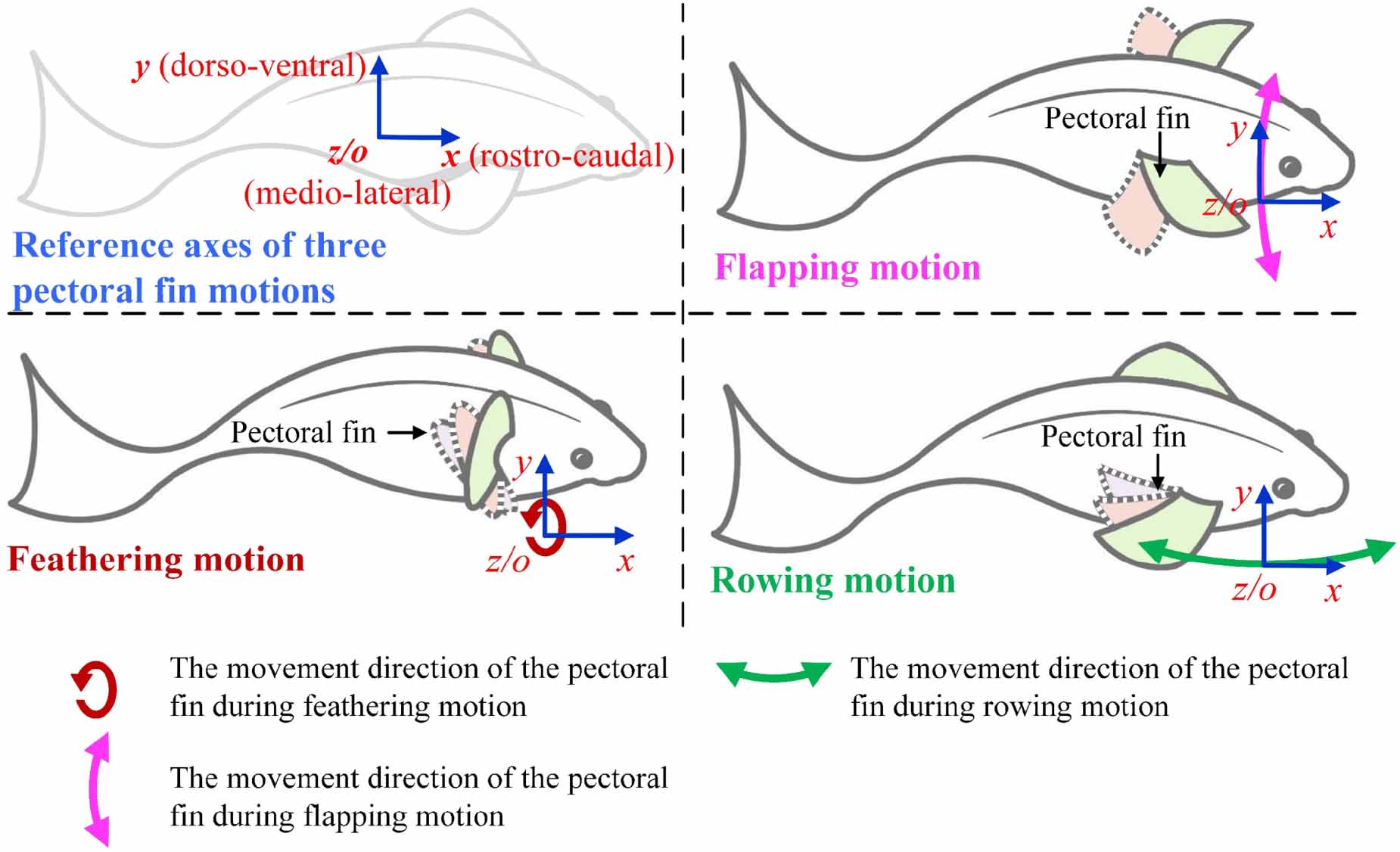 A novel 3-DoF piezoelectric robotic pectoral fin: design, simulation ...