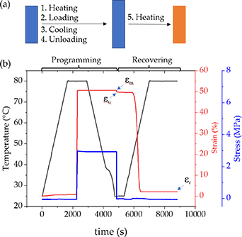 Thermo/hydration responsive shape memory polymers with enhanced hydrophilicity for biomedical ...