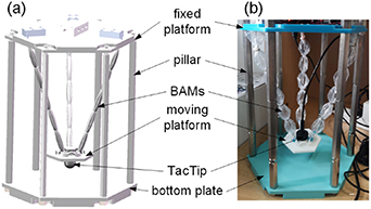 Development of a novel parallel soft manipulator with sensing ...