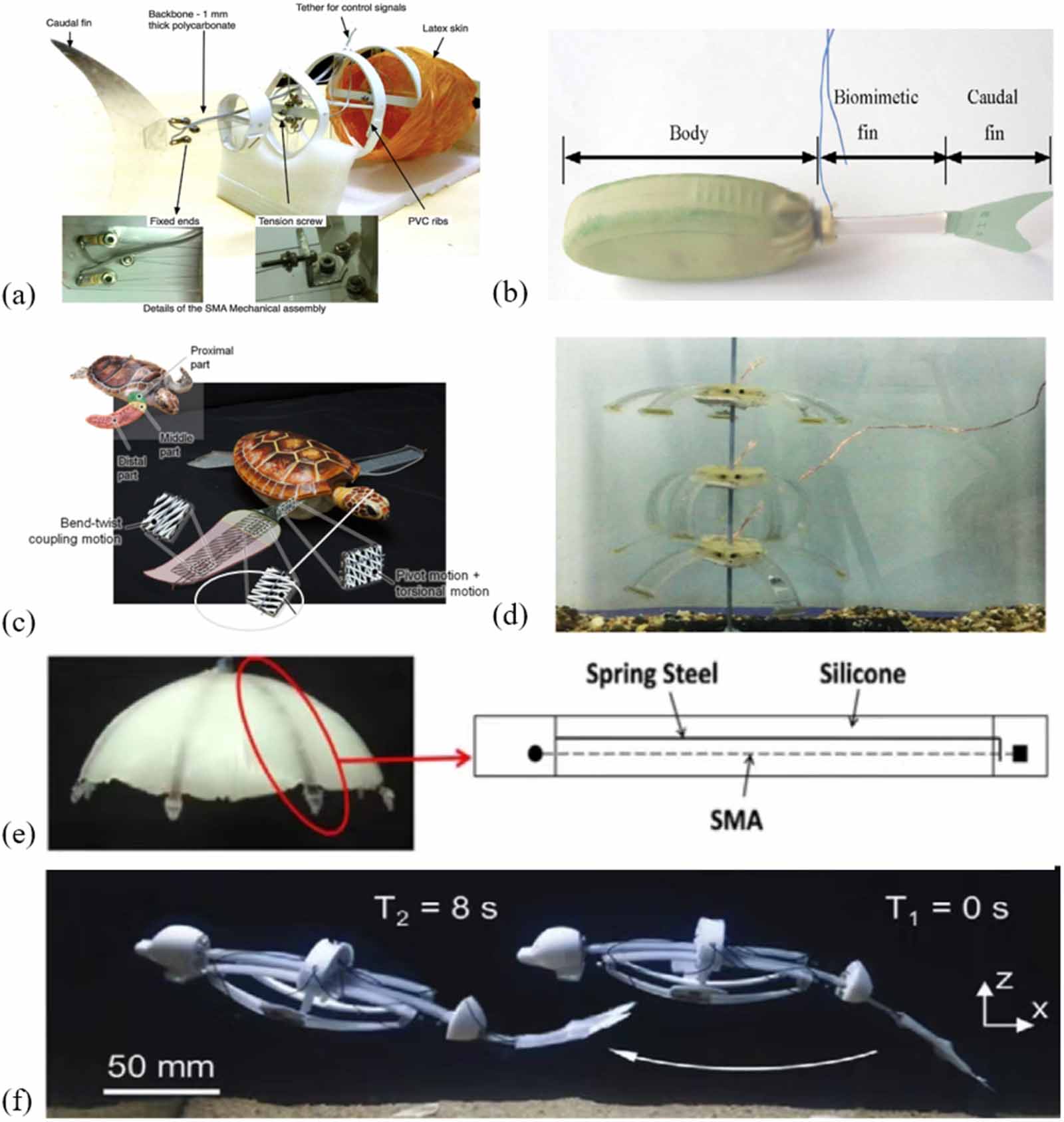 A review of shape memory alloy artificial muscles in bionic ...