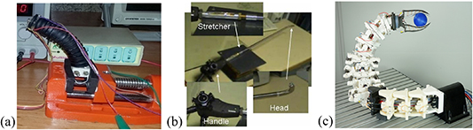 A review of shape memory alloy artificial muscles in bionic ...