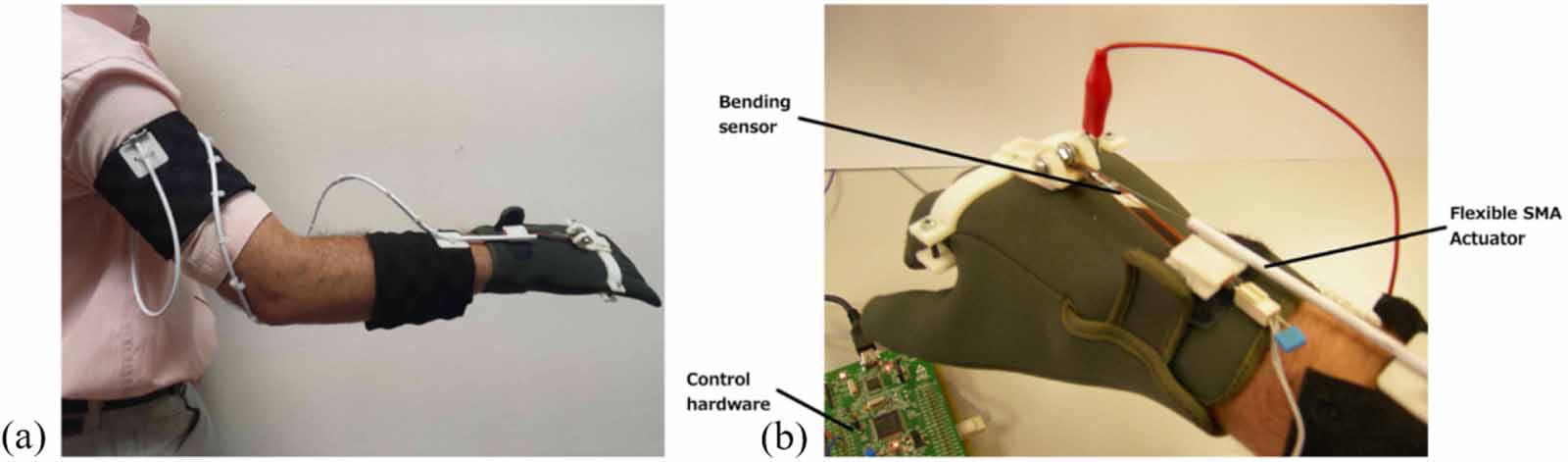 A review of shape memory alloy artificial muscles in bionic ...