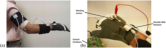 A review of shape memory alloy artificial muscles in bionic applications - IOPscience
