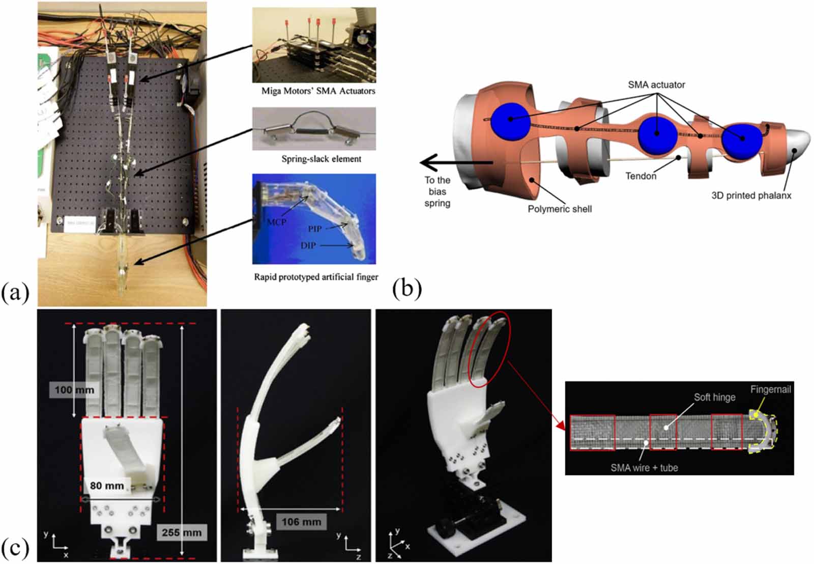 A review of shape memory alloy artificial muscles in bionic applications - IOPscience