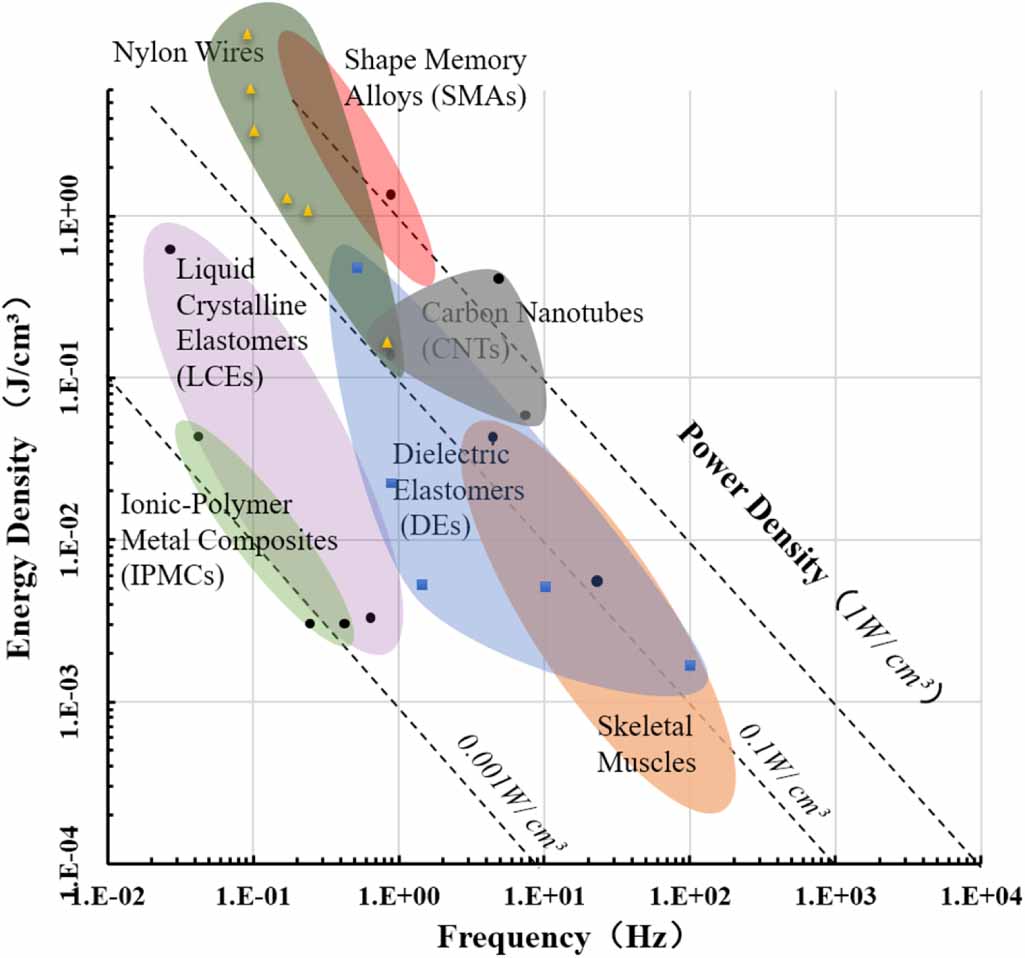 A review of shape memory alloy artificial muscles in bionic ...