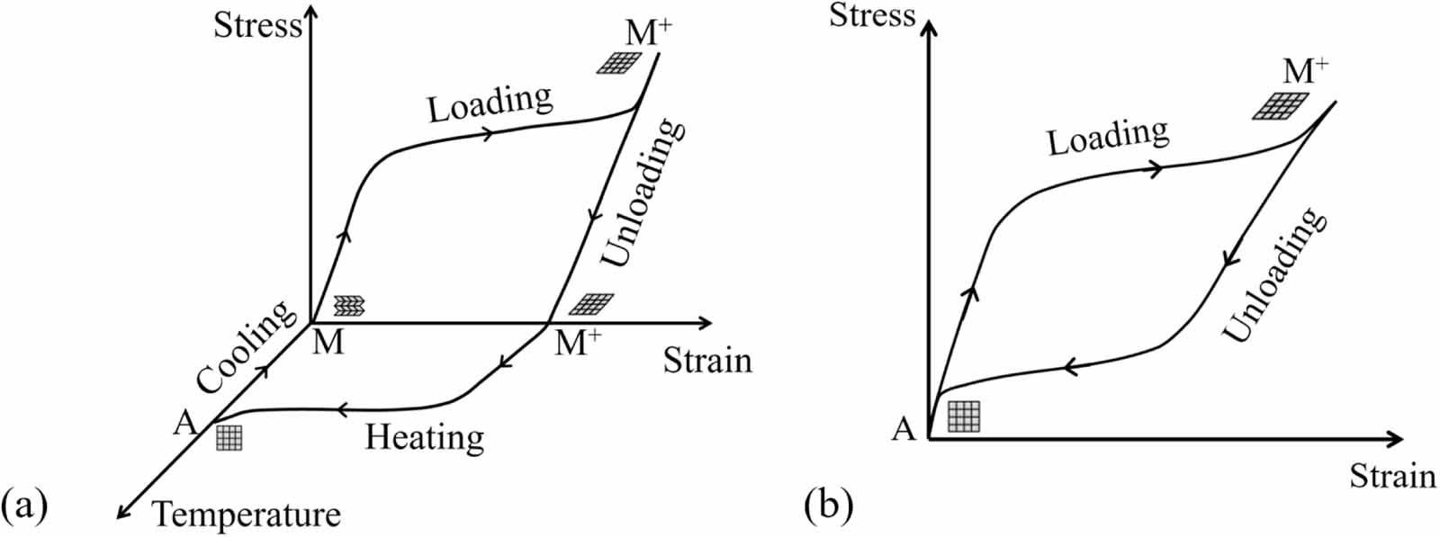 A review of shape memory alloy artificial muscles in bionic ...