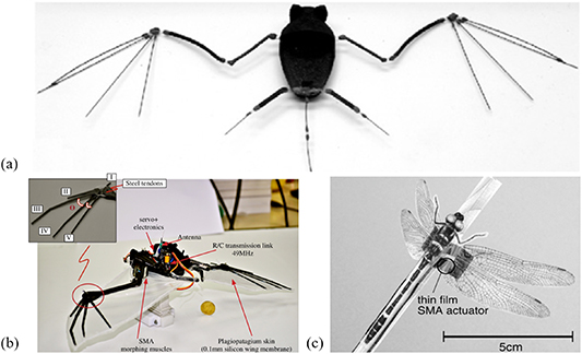 A review of shape memory alloy artificial muscles in bionic ...