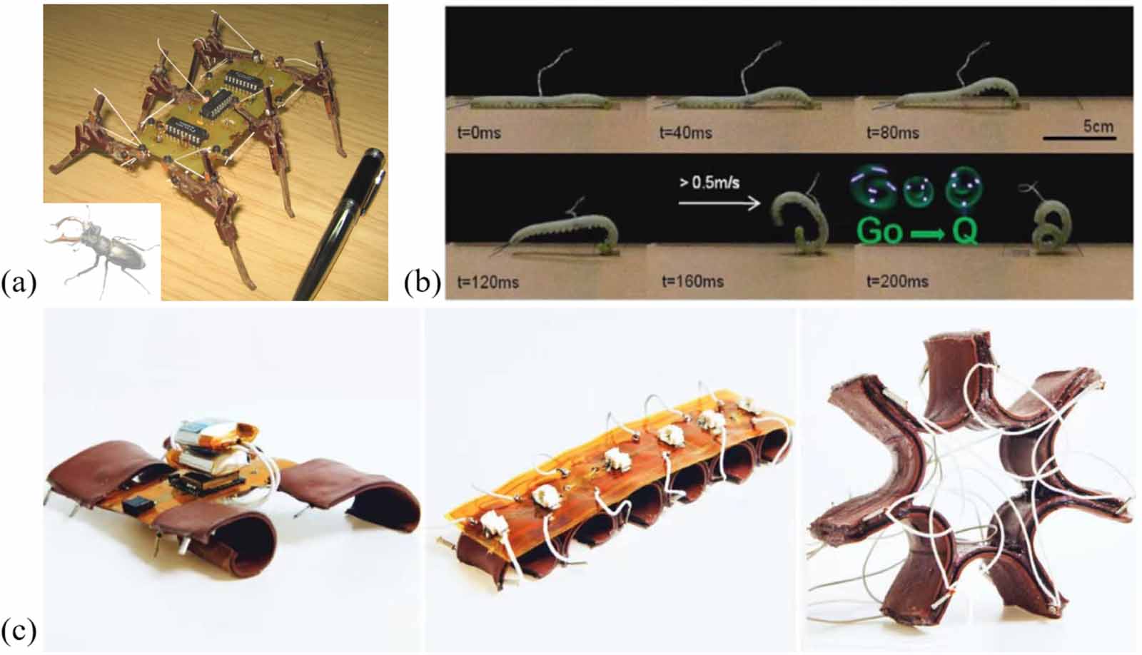 A review of shape memory alloy artificial muscles in bionic ...
