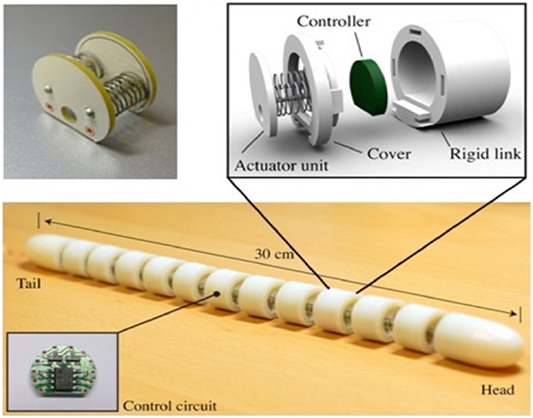 A review of shape memory alloy artificial muscles in bionic ...