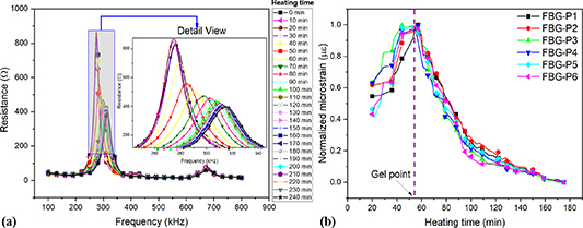 Curing process monitoring of polymeric composites with Gramian angular ...