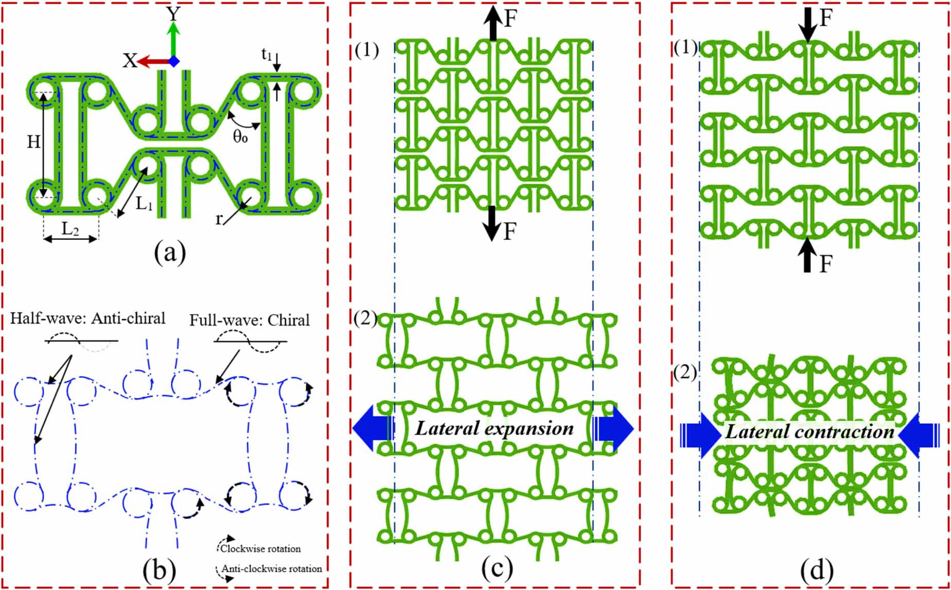 3D printed auxetic stents with re-entrant and chiral topologies ...