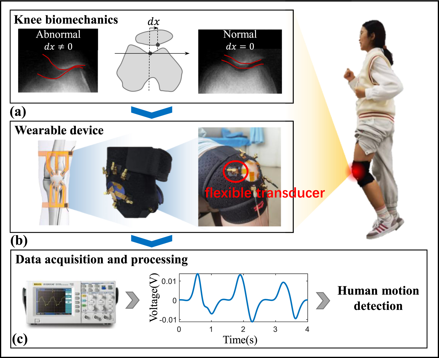 Graphene enhanced flexible piezoelectric transducers for dynamic strain ...