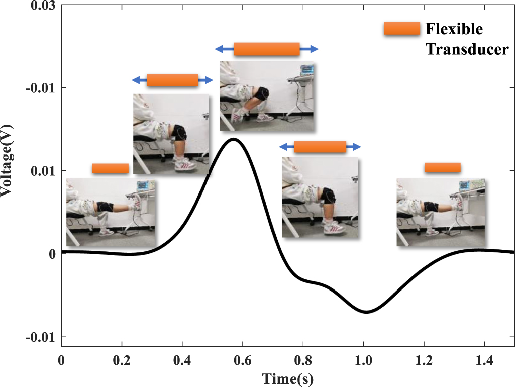 Graphene enhanced flexible piezoelectric transducers for dynamic strain ...