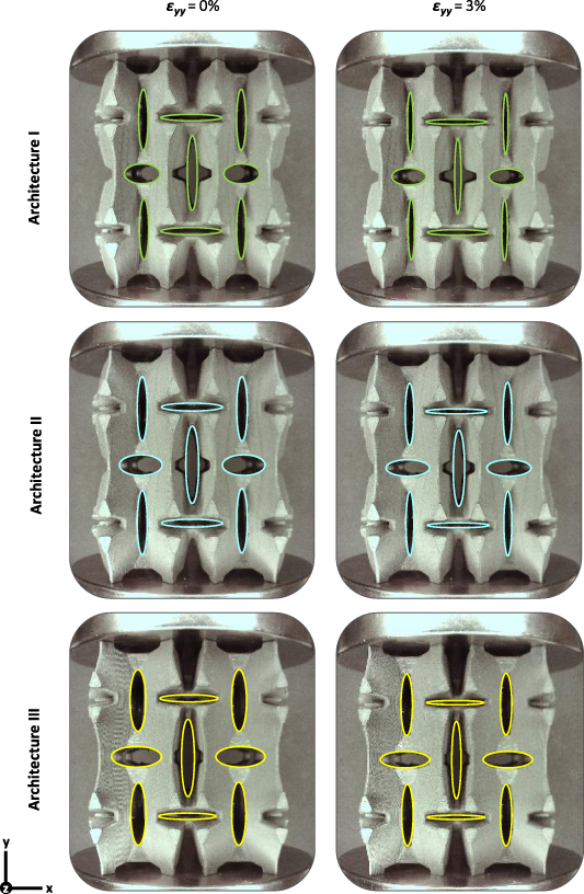 Novel polyhedral mechanical metamaterial exhibiting negative Poisson's ...