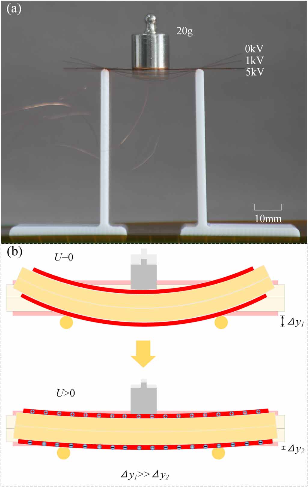 On variable stiffness of flexible parallel electroadhesive structures ...