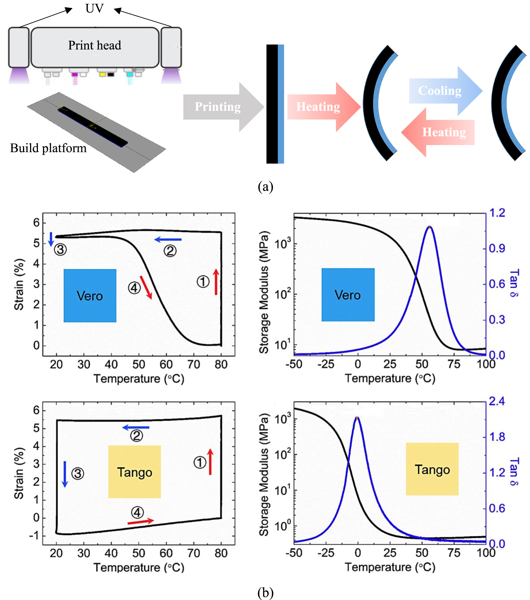 Multimaterial 4D printing with a tunable bending model - IOPscience
