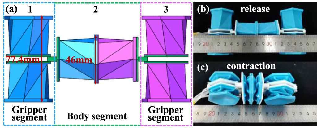 Origami-inspired soft-rigid hybrid contraction actuator and its ...