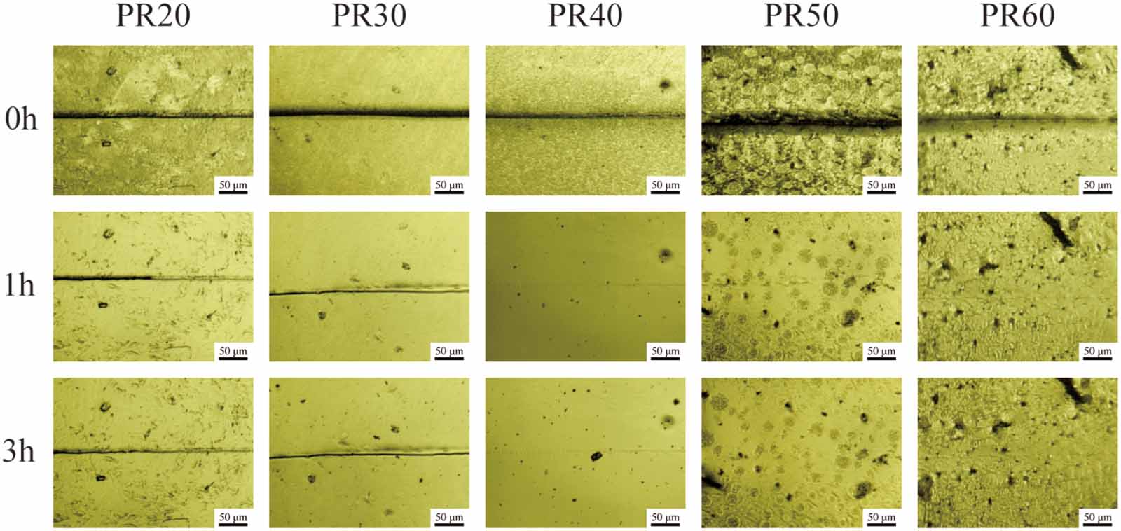 Cross-linked self-healing polymers containing rosin moiety based on ...