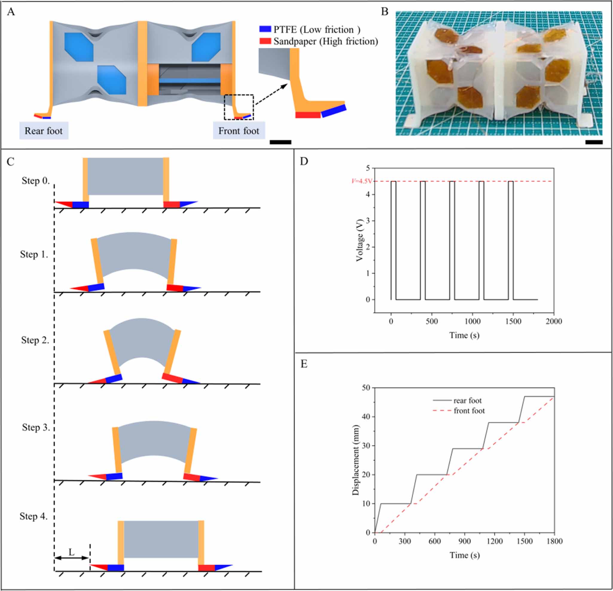 Bioinspired design of stimuli-responsive artificial muscles with ...
