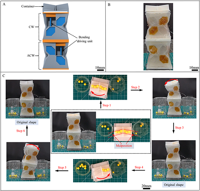 Bioinspired design of stimuli-responsive artificial muscles with ...