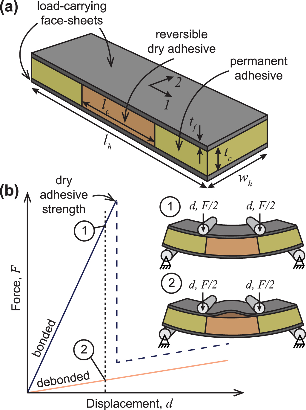 Dynamically reprogrammable stiffness in gecko-inspired laminated ...