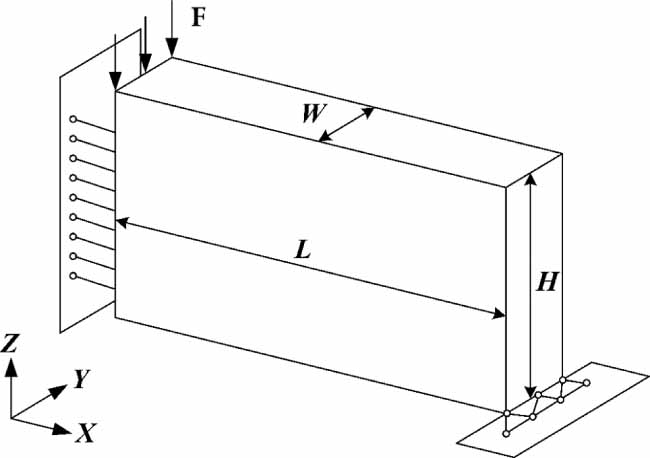 Multi-objective topology optimization of macro structure and microtubule network structure for ...