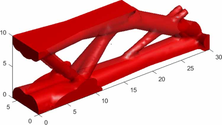 Multi-objective topology optimization of macro structure and microtubule network structure for ...