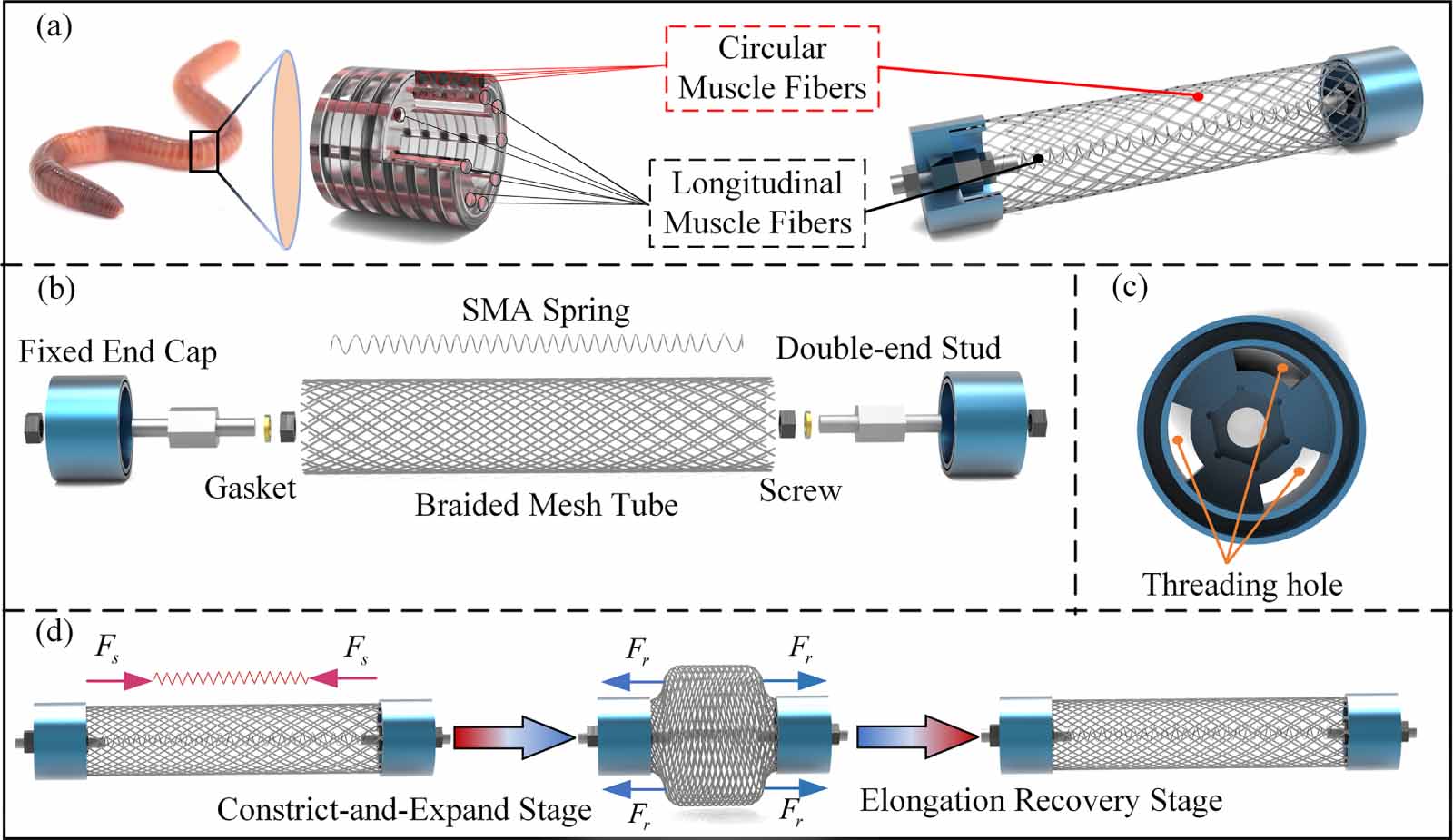 Soft modular pipe robot inspired by earthworm for adaptive pipeline ...