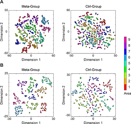 Spatial coding metastructure for single-sensor impact region recognition - IOPscience