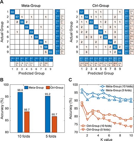 Spatial coding metastructure for single-sensor impact region recognition - IOPscience