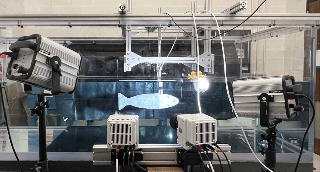 A continuum soft robotic trout with embedded HASEL actuators: design ...