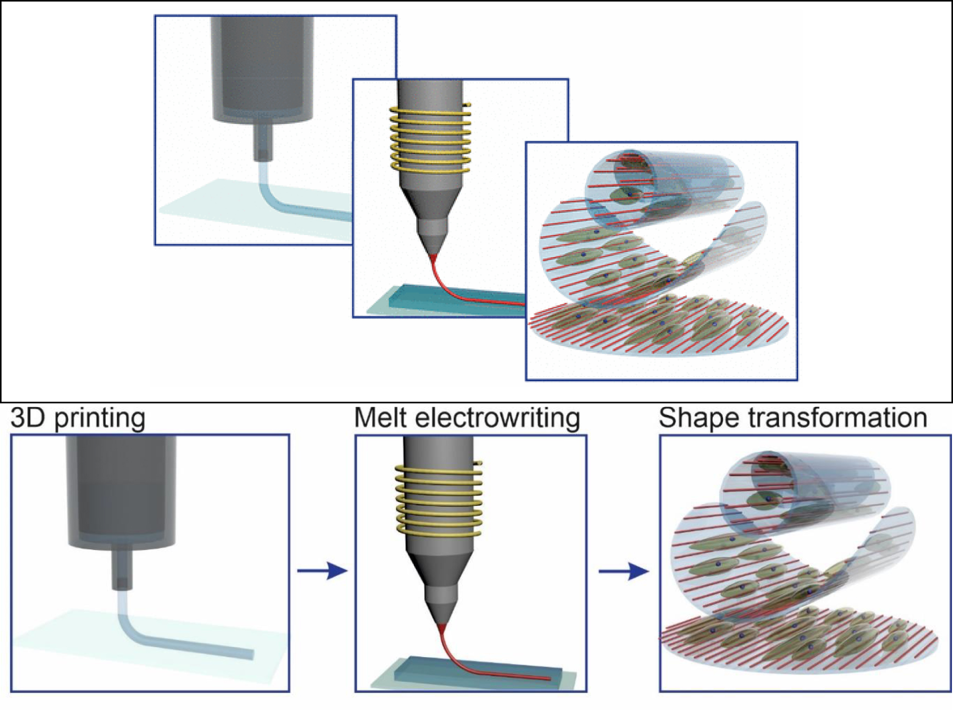4D printing roadmap - IOPscience